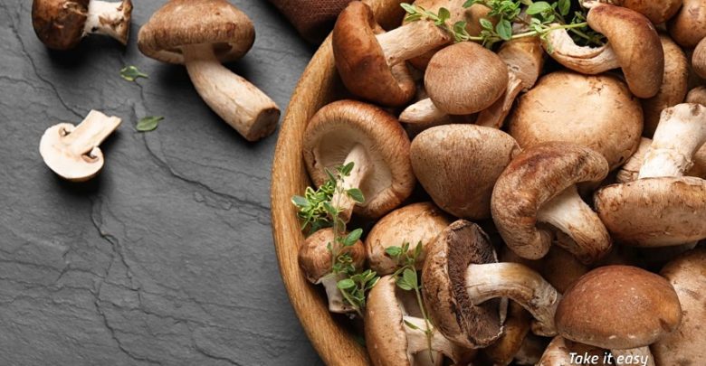 Types Of Umami Rich Mushrooms And Their Nutritional Benefits